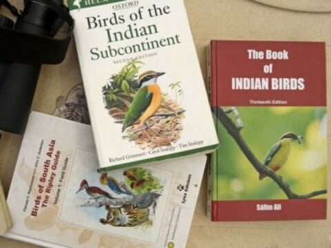 A List of Book Field Guides Of Indian Birds - Bird Alliance