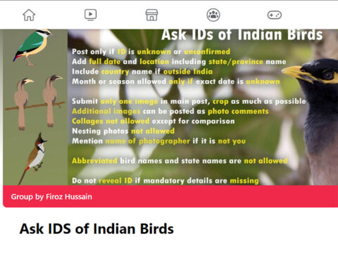 Ask ID of Indian Birds - Bird Alliance