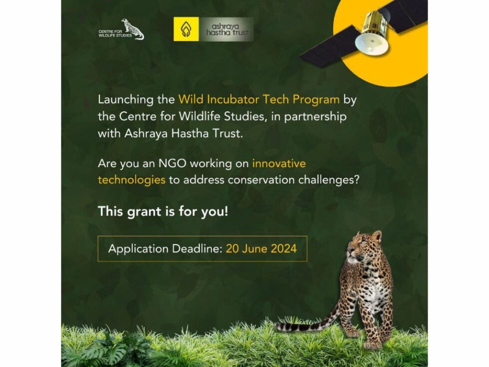 The Wildlife Incubator Tech Program: Leading Conservation Innovation ...