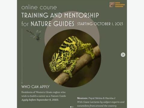 Online Training And Mentorship For Nature Guides - Bird Alliance