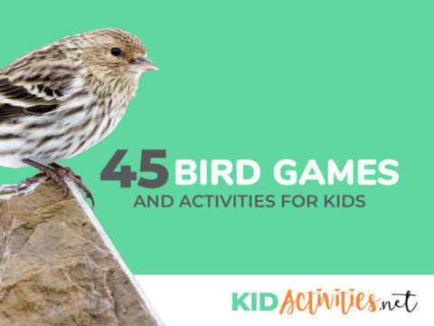 Bird Games And Activities For Kids - Bird Alliance