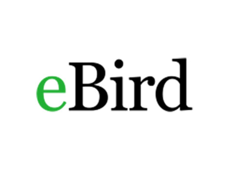 eBird - Bird Alliance